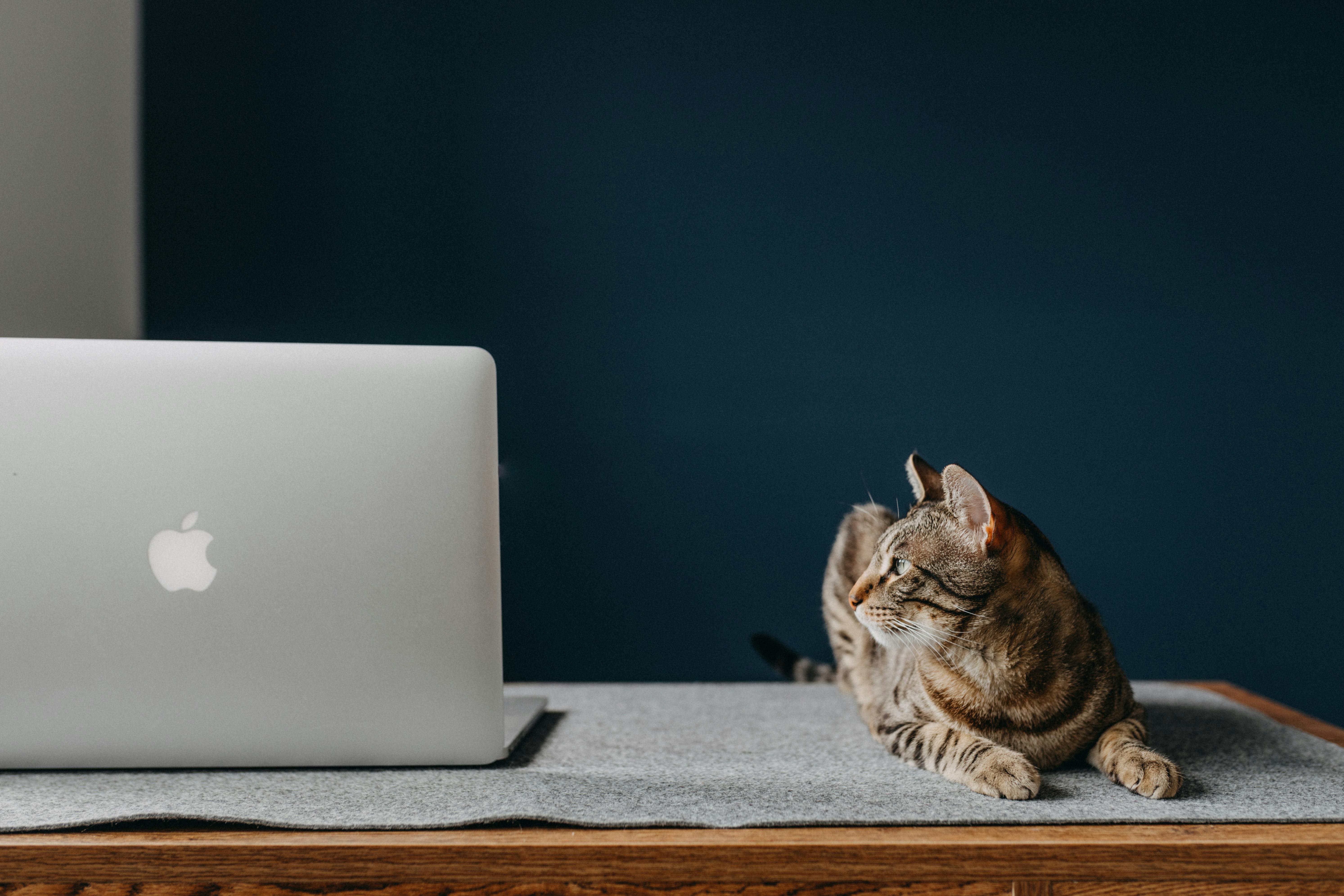 The Best Way to Format Word Documents for Clean Mail Merge Results ...